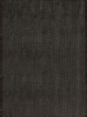 Shindo Poliform - Carpets